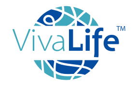 Wholesale - VivaLife Jewelry